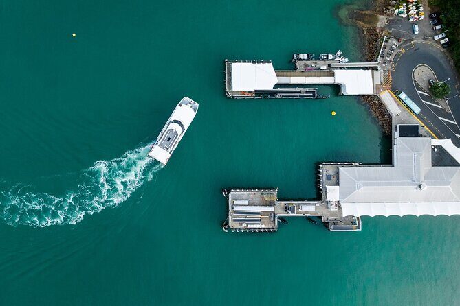 Waiheke Reserve Ferry Service to Waiheke Island - Who Should Consider This Ferry?