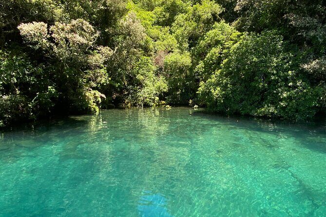 Waihora Bay Shared Tour from Kinloch Marina - FAQs About the Waihora Bay Shared Tour