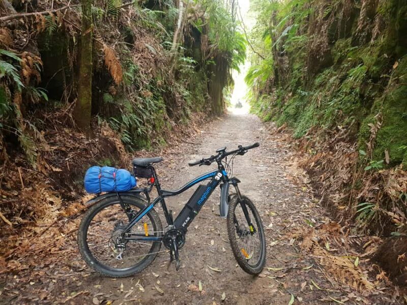 Waikato: Half-Day Karpiro River Trail Bike Tour - Key Points
