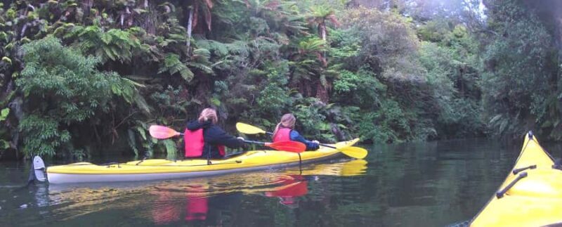 Waikato River: Glowworm Kayak Tour with Wine & Snacks - Key Points