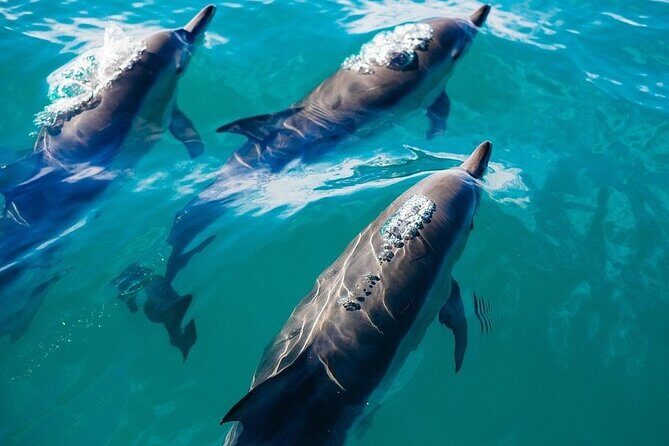 Waikiki Private Sunset Sail Romantic and Private - Final Thoughts