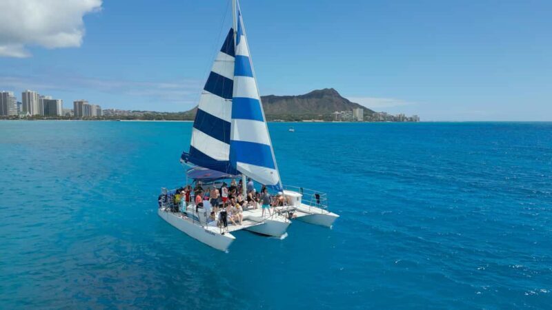 Waikiki: Sail and Turtle Snorkel Experience - The Itinerary and What to Expect