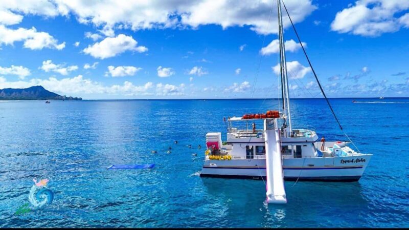 Waikiki Snorkeling and Ocean Waterpark Adventure - The Details of the Tour