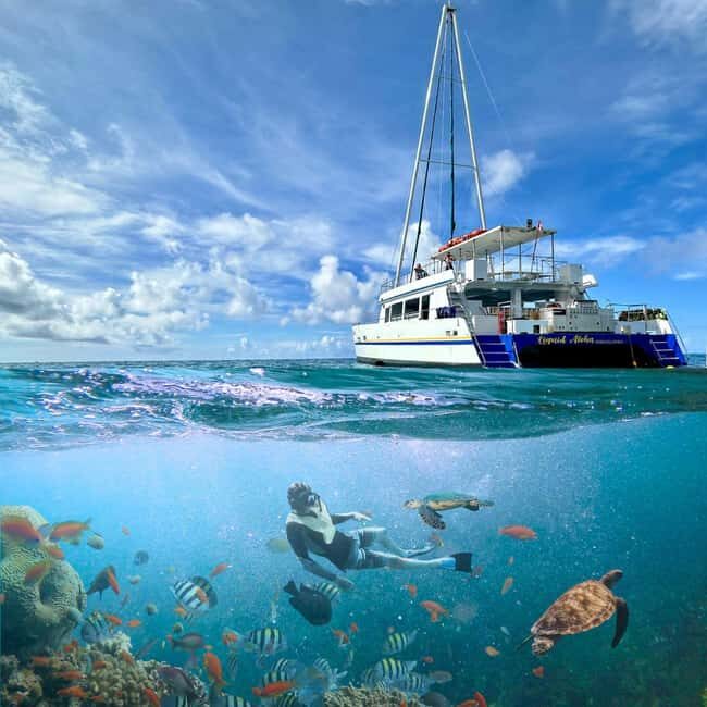 Waikiki Snorkeling and Ocean Waterpark Adventure - FAQ