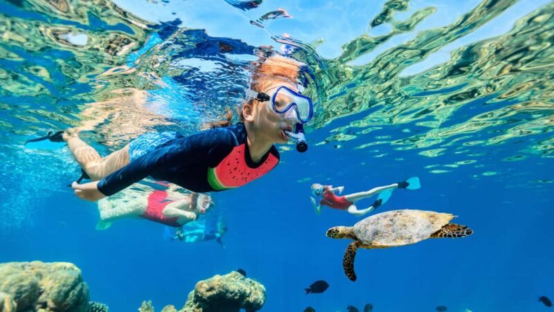 Waikiki: Snorkeling & Ocean Playground Experience - An In-Depth Look at the Waikiki Snorkeling & Ocean Playground Tour