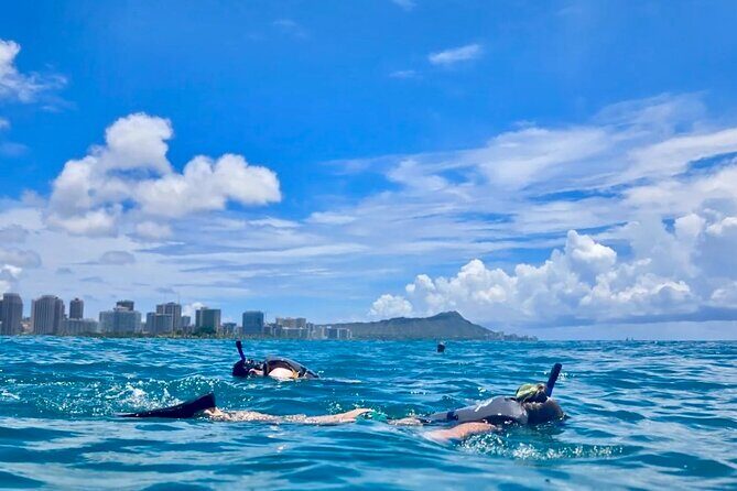 Waikiki Snorkeling & Ocean Waterpark Adventure from Oahu - Key Points
