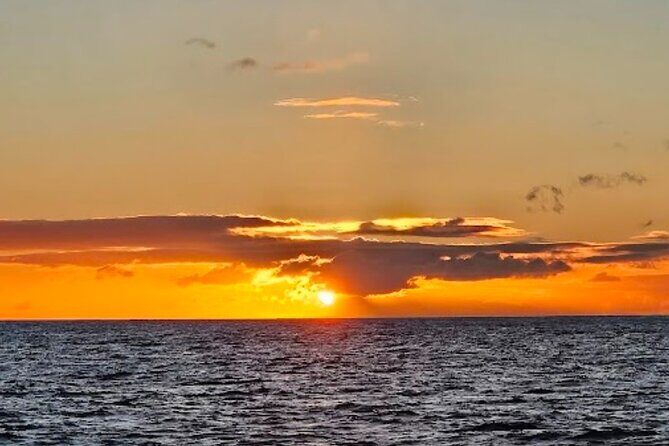 Waikiki Sunset Cruise and Iconic Views with Swimming - The Practical Details