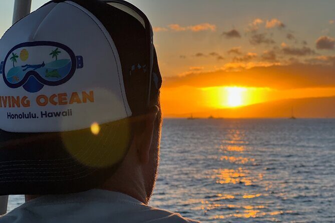 Waikiki Sunset Cruise with Boat Stabilizer - Who Should Consider This Tour?