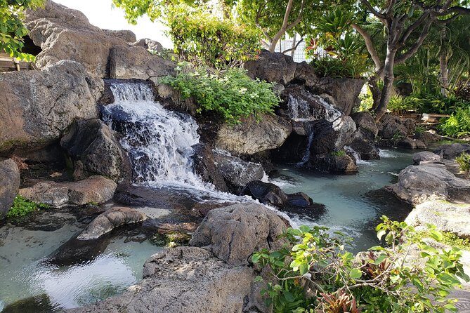Waikiki Walking Tour, Treats, Free Video and Pics! - An In-Depth Look at the Waikiki Walking Tour