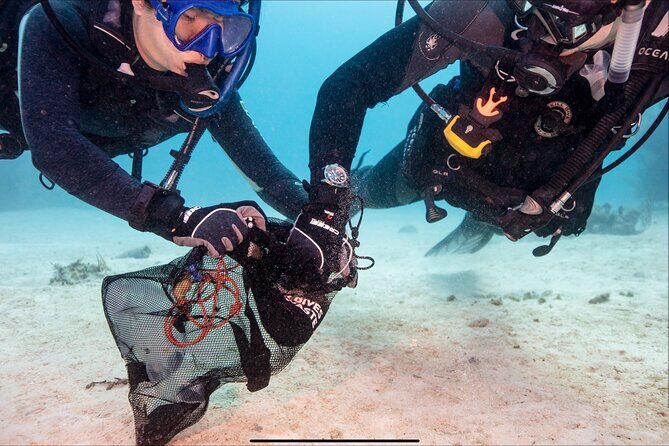 Waikikis Best Wreck And Reef Dive - FAQs