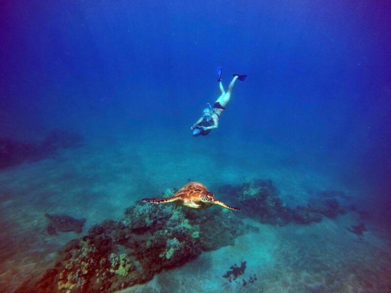 Wailea Beach: Guided Sea Scooter Snorkeling Tour - Why This Tour is a Must-Do in Maui