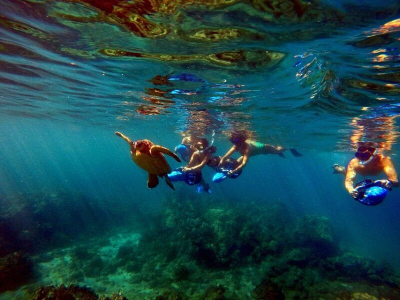 Wailea Beach: Guided Sea Scooter Snorkeling Tour - Why this tour offers great value