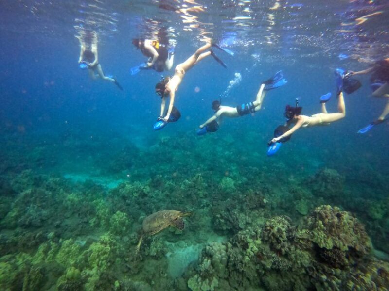 Wailea Beach: Guided Sea Scooter Snorkeling Tour - Who will love this experience?