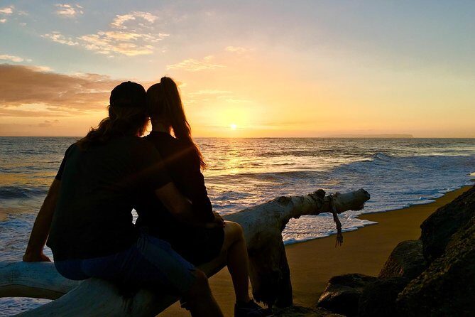 Waimea Canyon Downhill Bike Ride - Authentic Experiences from Reviewers