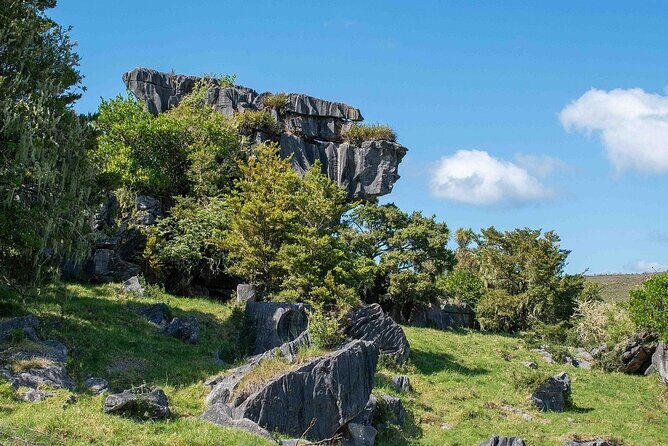 Waiomio Kawiti Glowworm Cave & Ngawha Hot Springs day tour - Exploring the Itinerary in Detail