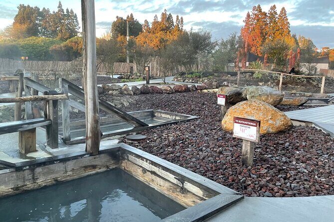 Waiomio Kawiti Glowworm Cave & Ngawha Hot Springs day tour - FAQs