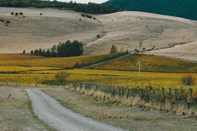 Waipara Valley Winery Tour Wine Tastings and Scenic Views - Transport and Comfort