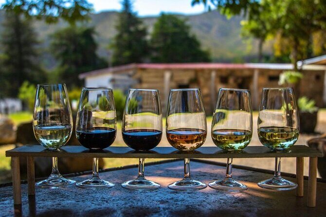 Waipara Wine Trail Private Group Tour From Christchurch - Key Points