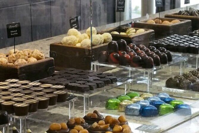 Waipu Milkyway Cave and East Coast Day Tour from Auckland - Who Is This Tour Best For?