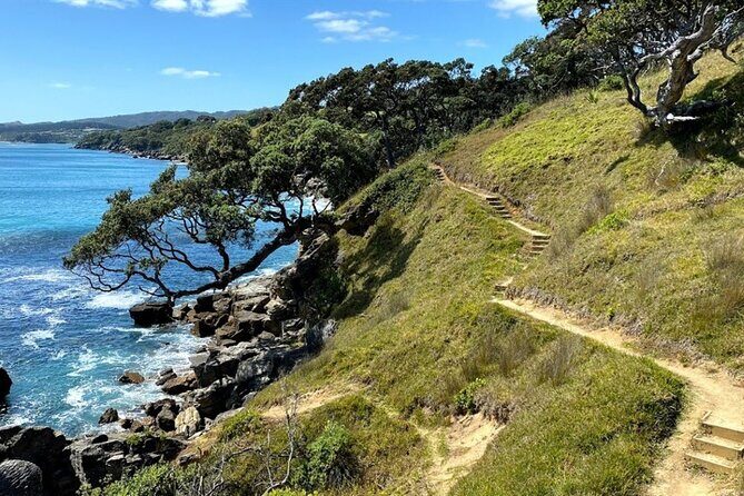 Waipu Milkyway Cave and East Coast Day Tour from Auckland - The Sum Up