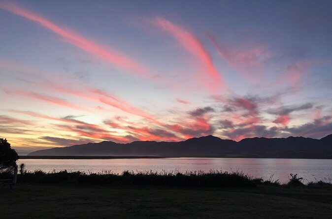 Wairarapa Tours South Wairarapa Cultural Tour Half Day - Final Thoughts