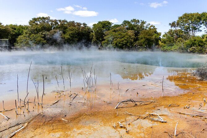 Waitakere Auckland Private Tour - An In-Depth Look at the Itinerary