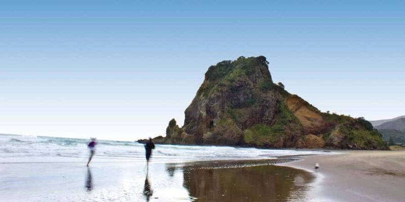 Waitakere Ranges Wilderness Experience Tour from Auckland - Who Will Enjoy This Experience?