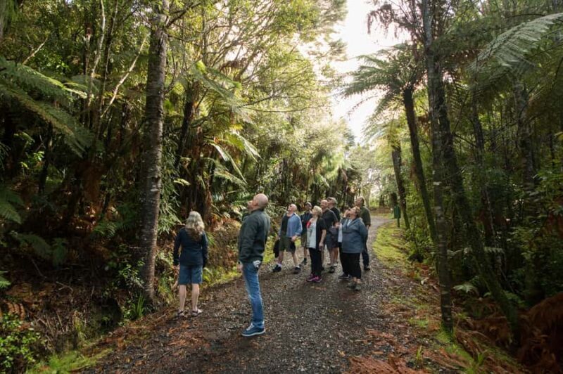 Waitakere Ranges Wilderness Experience Tour from Auckland - Authenticity and Guides: Why This Tour Stands Out