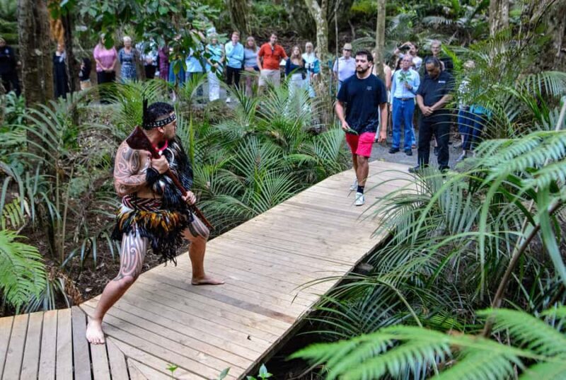 Waitangi: Treaty Grounds Hng and Concert Combo Pass - An In-Depth Look at the Experience