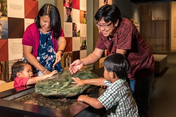 Waitangi Treaty Grounds Tour from Auckland - What to Expect from the Tour