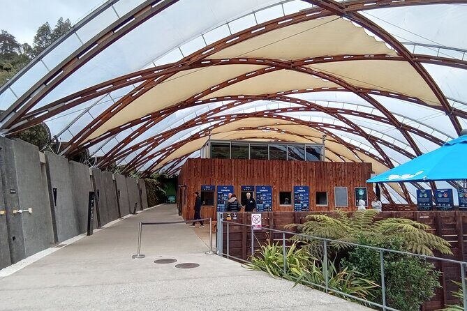 Waitomo Cave and Hobbiton Village Full Day Tour - Key Points