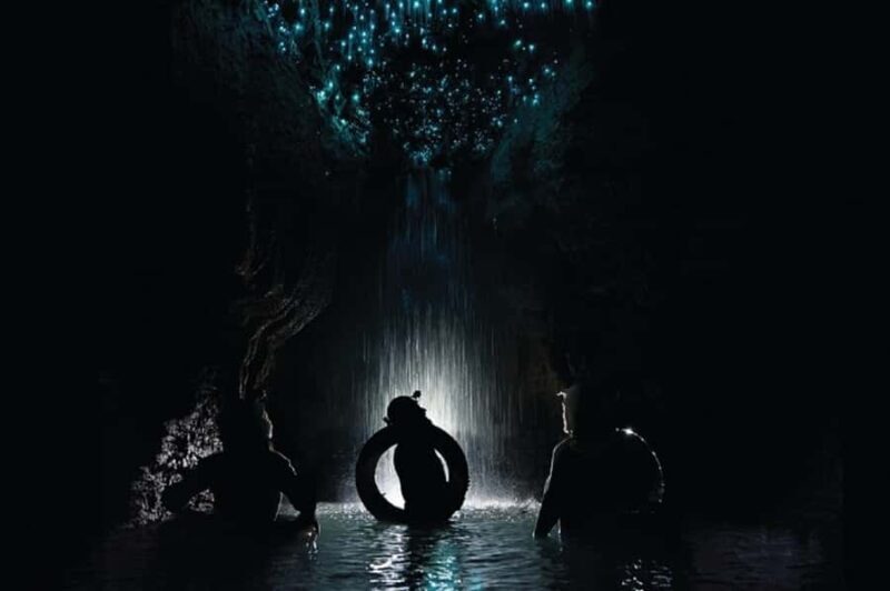 Waitomo Caves Black Abyss Ultimate Caving Experience - Who Should Consider This Tour?