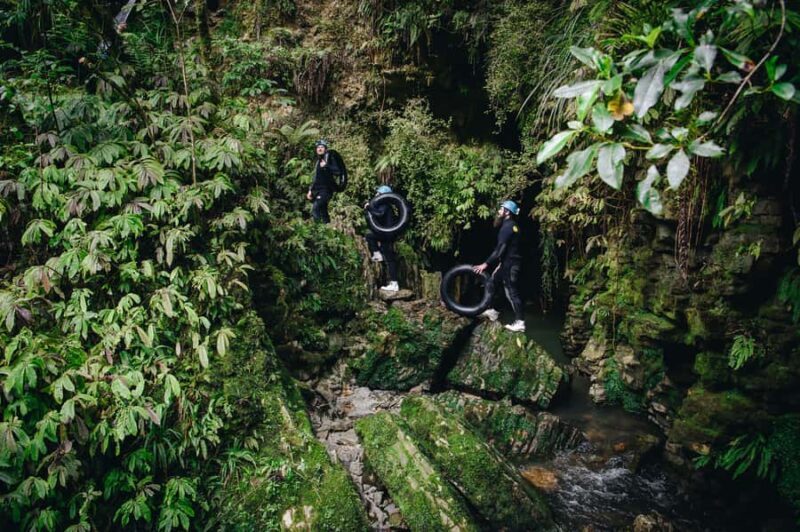 Waitomo Caves: Labyrinth Black Water Rafting Experience - Pricing and Value