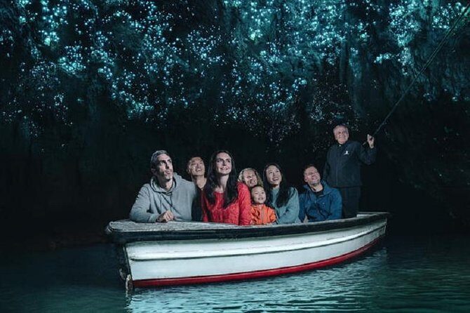 Waitomo Caves Private Driver for Tour - Key Points