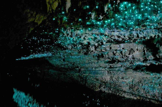 Waitomo Caves Private Tour from Auckland - Practical Tips for Travelers