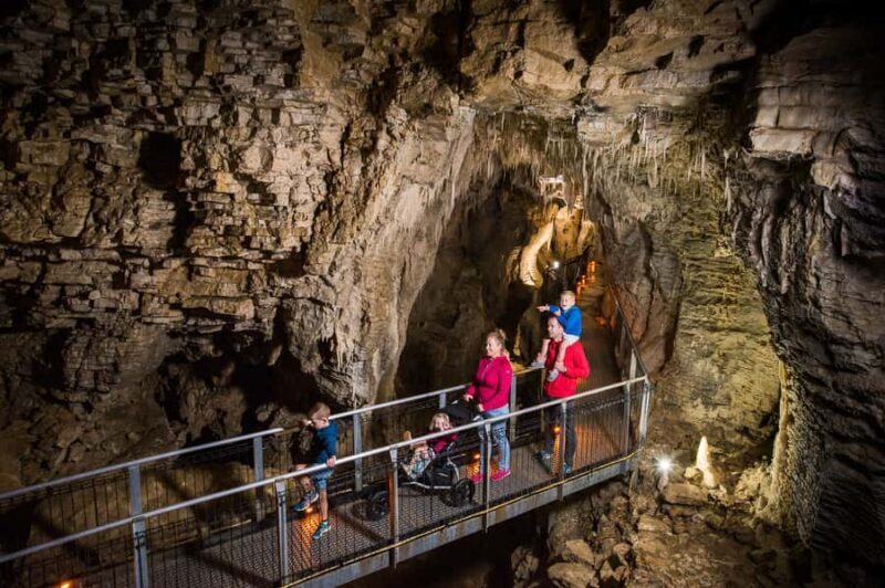 Waitomo Caves: Ruakuri Glowworm Cave Guided Walking Tour - The Value of the Ruakuri Glowworm Cave Tour