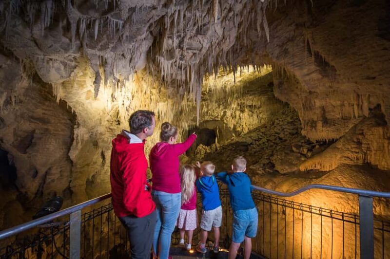 Waitomo Caves: Ruakuri Glowworm Cave Guided Walking Tour - Final Thoughts: Why Choose the Ruakuri Glowworm Cave Walk?