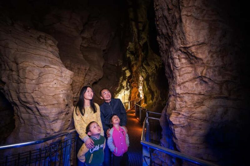 Waitomo Caves: Ruakuri Glowworm Cave Guided Walking Tour - FAQ