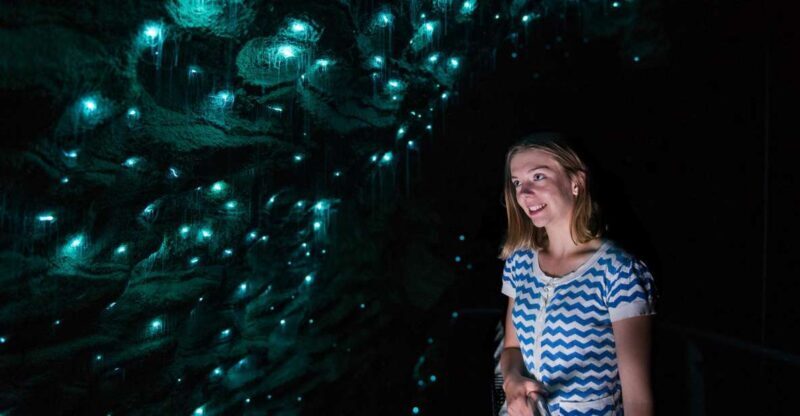 Waitomo Caves: Ruakuri Glowworm Cave Guided Walking Tour - Final Words
