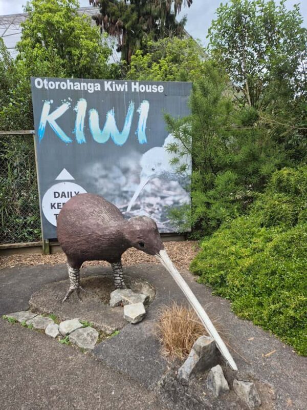 Waitomo: Caves to Kiwis eBike ride - Exploring the Scenic Journey by eBike