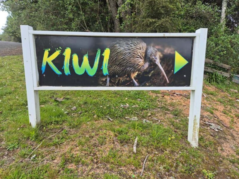 Waitomo: Caves to Kiwis eBike ride - Practical Details and Tips