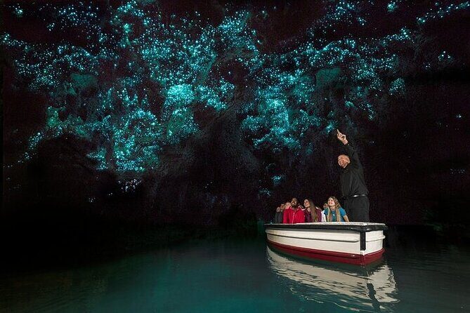 Waitomo Glow Worm Caves - Practical Tips for the Best Experience