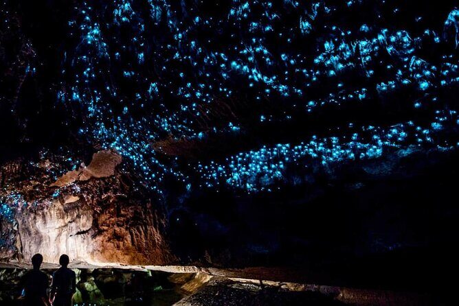 Waitomo Glow Worm Caves Tour from Auckland - An In-Depth Look at the Tour Experience