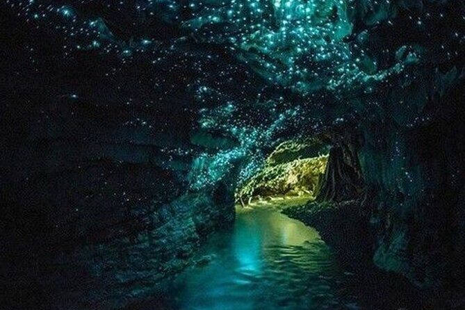 Waitomo Glowworm Caves and Auckland City Tour a Day Trip - Final Thoughts: Is This Tour Right for You?