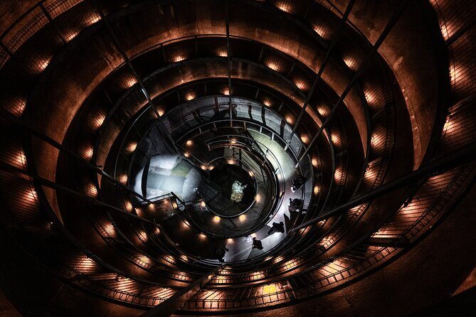 Waitomo Glowworm Caves and Kiwi House Small Group from Auckland - Who Would This Tour Suit Best?