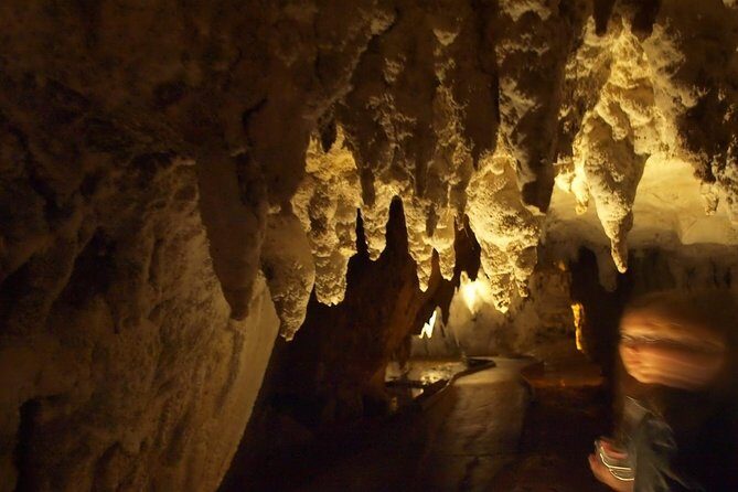 Waitomo Glowworm Caves In a Private Small Group Tour-Auckland. - Introduction: Why Consider the Waitomo Glowworm Caves Private Tour?