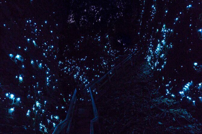 Waitomo Glowworm Caves In a Private Small Group Tour-Auckland. - What Travelers Love: Authenticity, Guides, and the Views