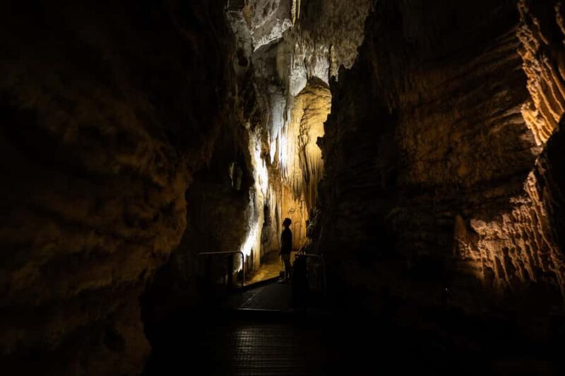 WAITOMO GLOWWORM & RUAKURI CAVES-PRIVATE TOUR FROM AUCKLAND - Introduction