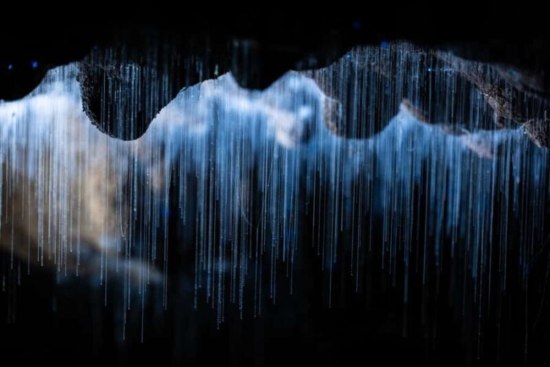 WAITOMO GLOWWORM & RUAKURI CAVES-PRIVATE TOUR FROM AUCKLAND - Transportation, Timing, and Group Dynamics