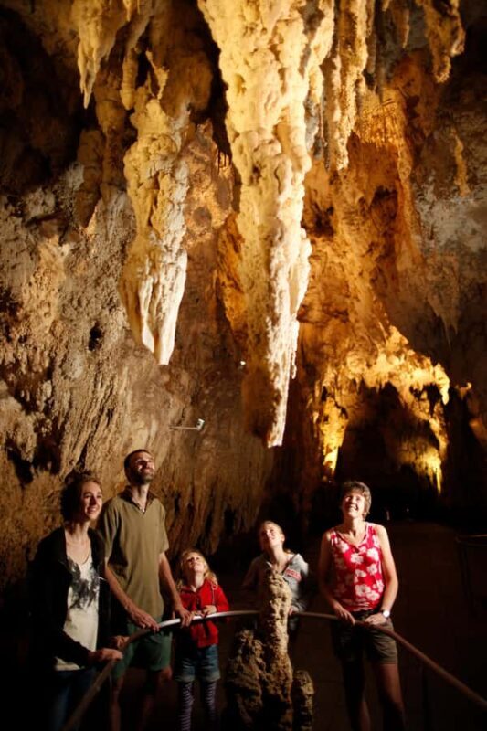 WAITOMO GLOWWORM & RUAKURI CAVES-PRIVATE TOUR FROM AUCKLAND - Who Is This Tour Best For?